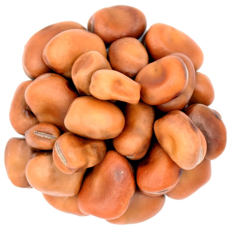 Ackerbohne - Feldsaaten Freudenberger