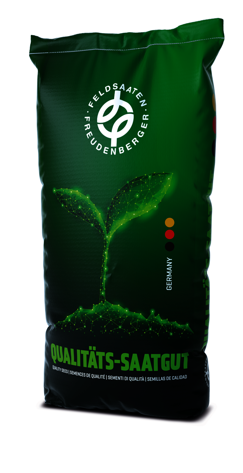 Sudangras - Feldsaaten Freudenberger