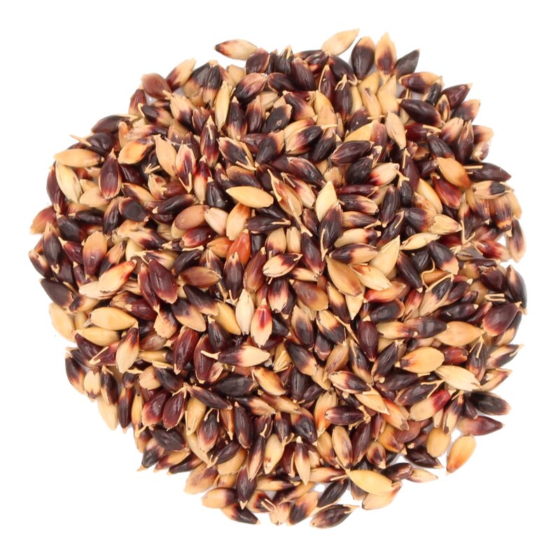 Sudangras - Feldsaaten Freudenberger