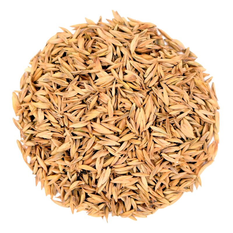 Knaulgras - Feldsaaten Freudenberger