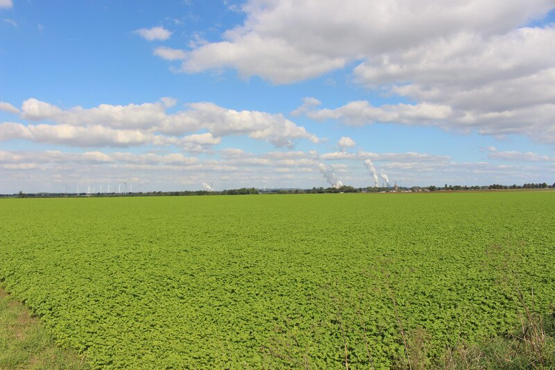 MOHIKAN - Feldsaaten Freudenberger